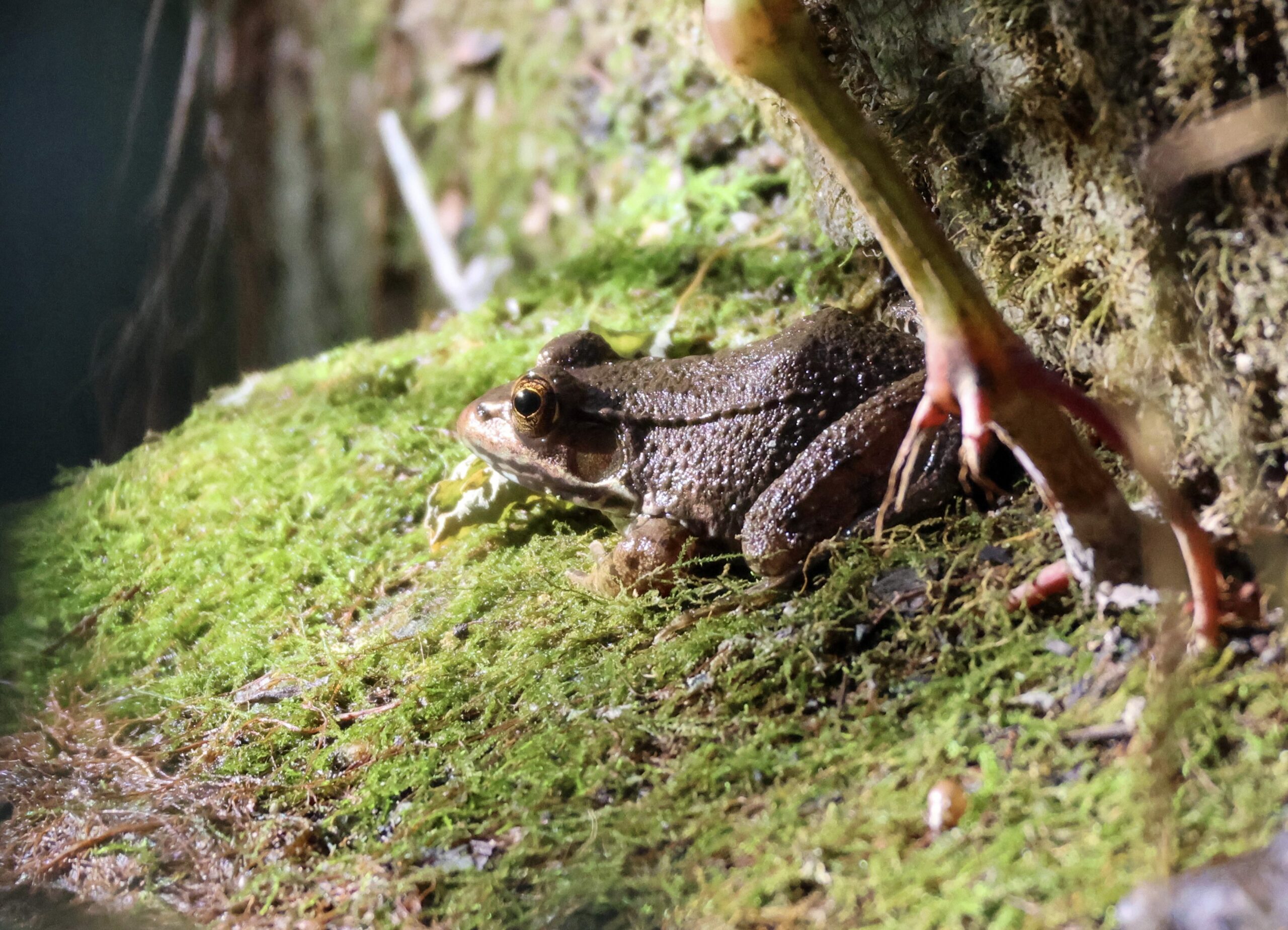 Look & Learn #4: Logging Off - AMG